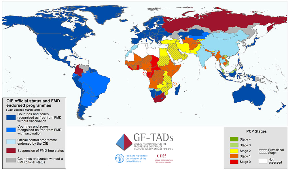 Progress on FMD Control Strategy