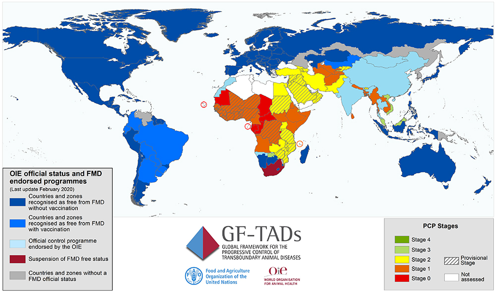 Progress on FMD Control Strategy